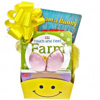 Easter Baskets Delivered, Easter Candy, Easter Bunny Basket